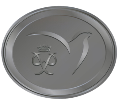 Journey to President's Badge